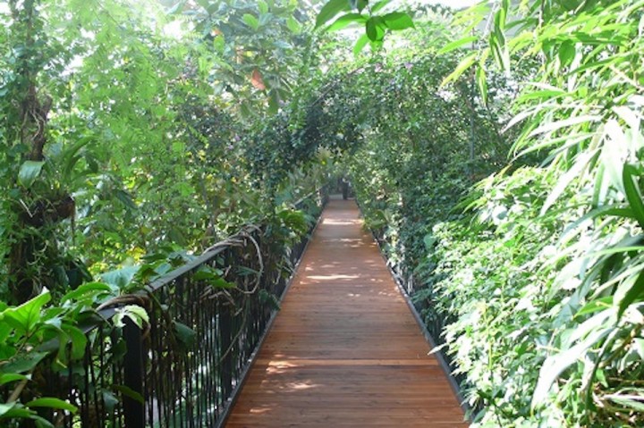 Biosphäre Potsdam - Ausflugsziele Brandenburg • Ab Ins Gruene
